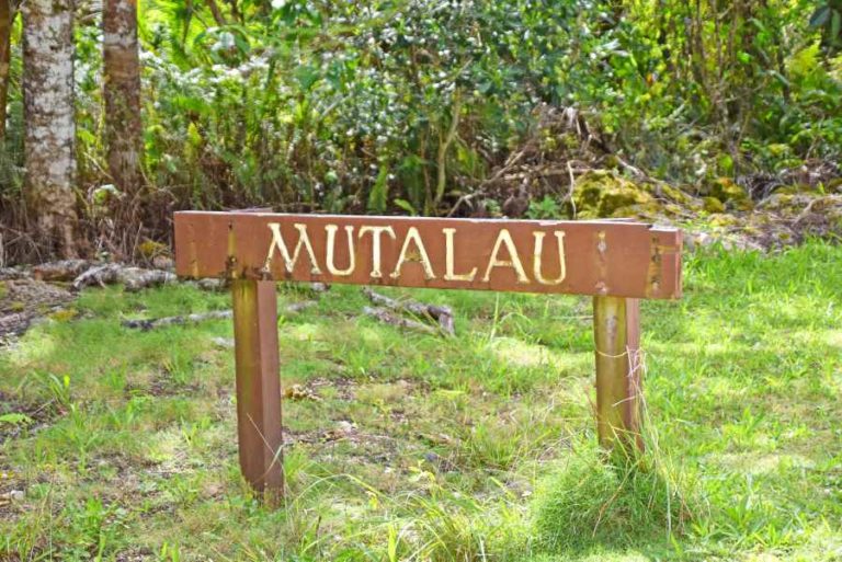 The 5 Biggest Towns & Villages in Niue - Niue Pocket Guide