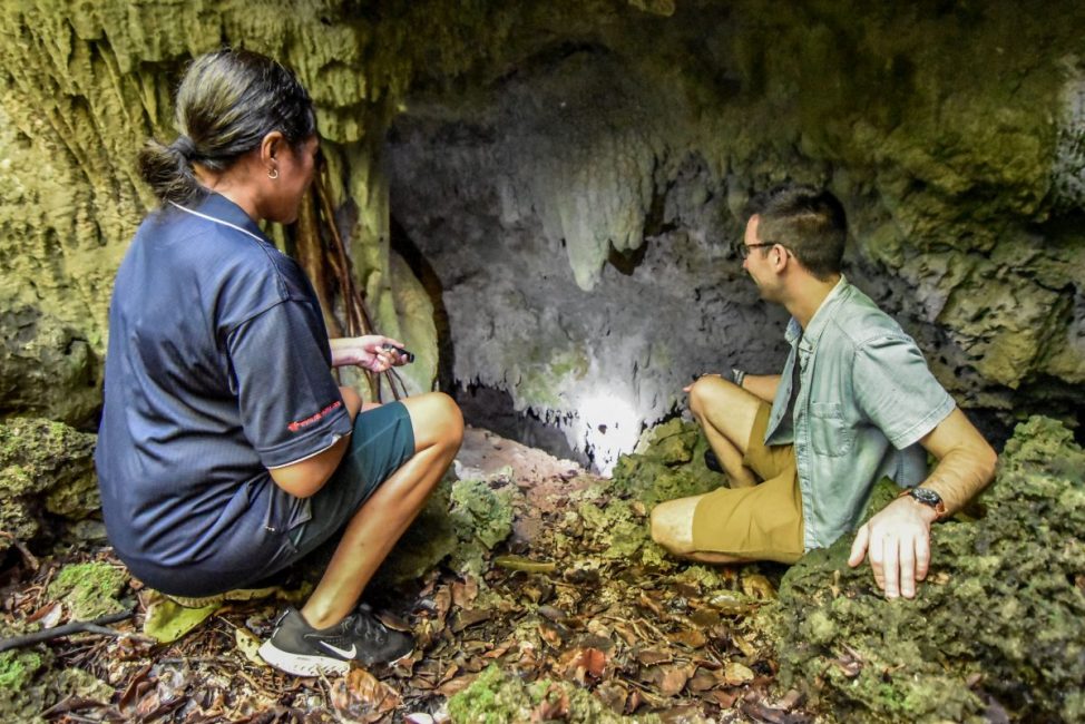 10 Animals & Birds Native to Niue - Niue Pocket Guide