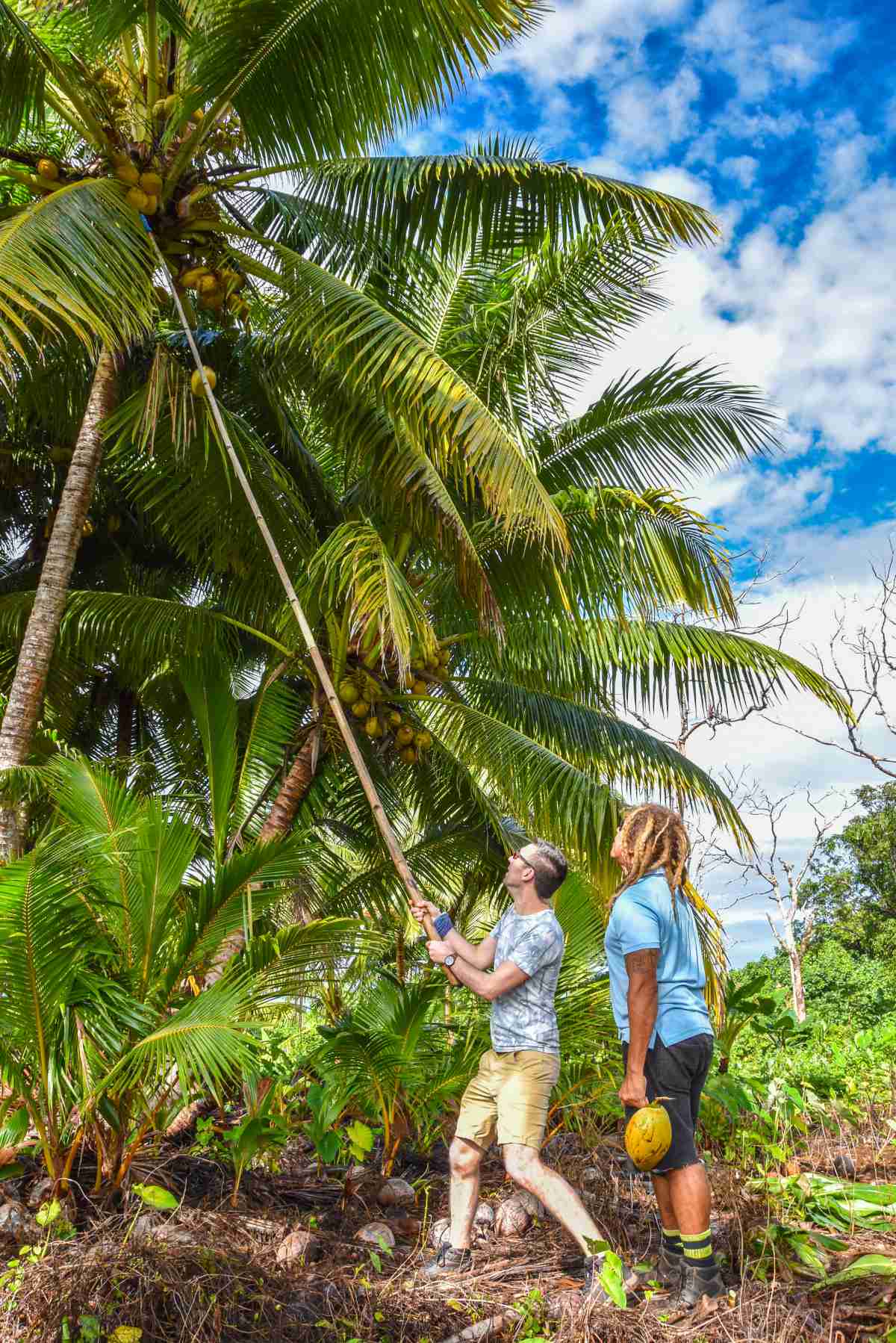 8 Best Nature Tours in Niue - Niue Pocket Guide
