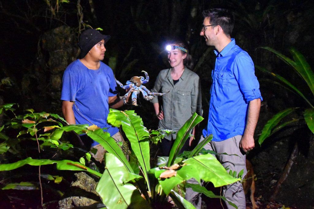 5 Places to Try Uga in Niue (Where to Eat Coconut Crab)