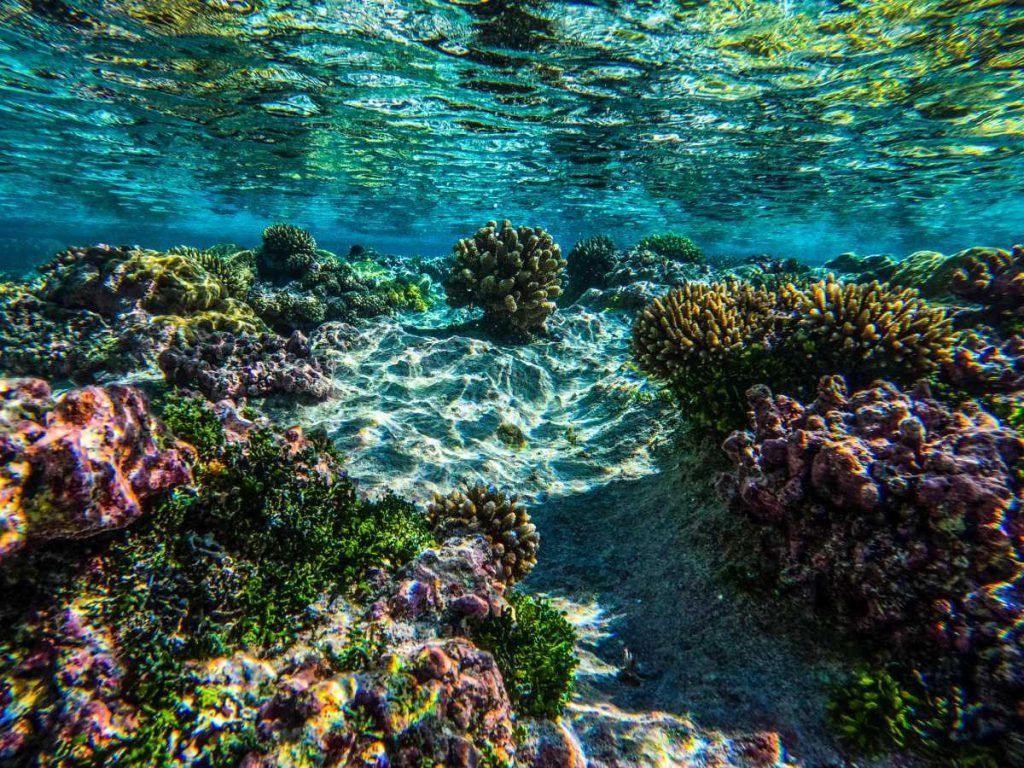 The Best Niue Itineraries for 1 Week / 7 Days 🌴 2025