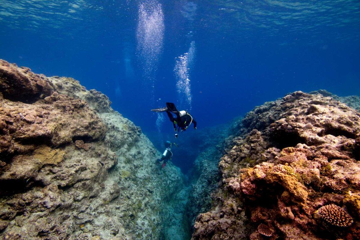 The Best Dive Shops & Operators in Niue 🐠 [2026] - Niue Pocket Guide